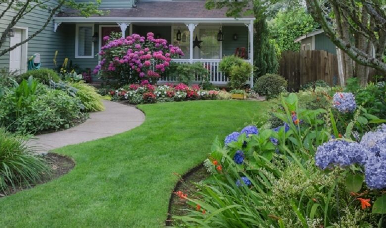 How to Create a Beautiful Lawn Edging: A Step-by-Step Guide | The ...